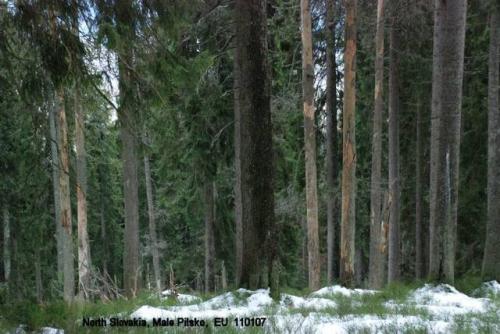 Obec Mútne - Oficiálna stránka obce Mútne